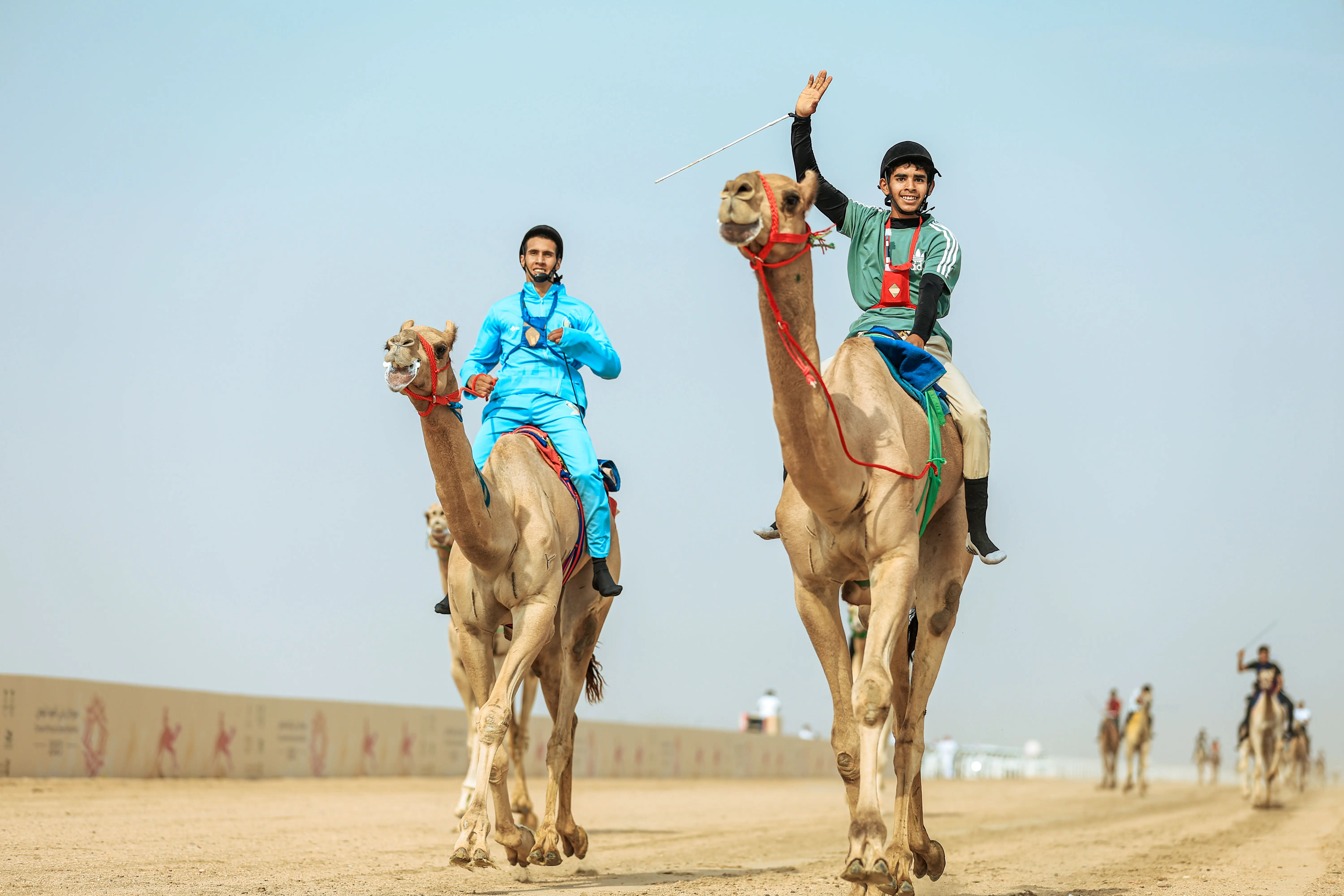 الإتحاد السعودي للهجن